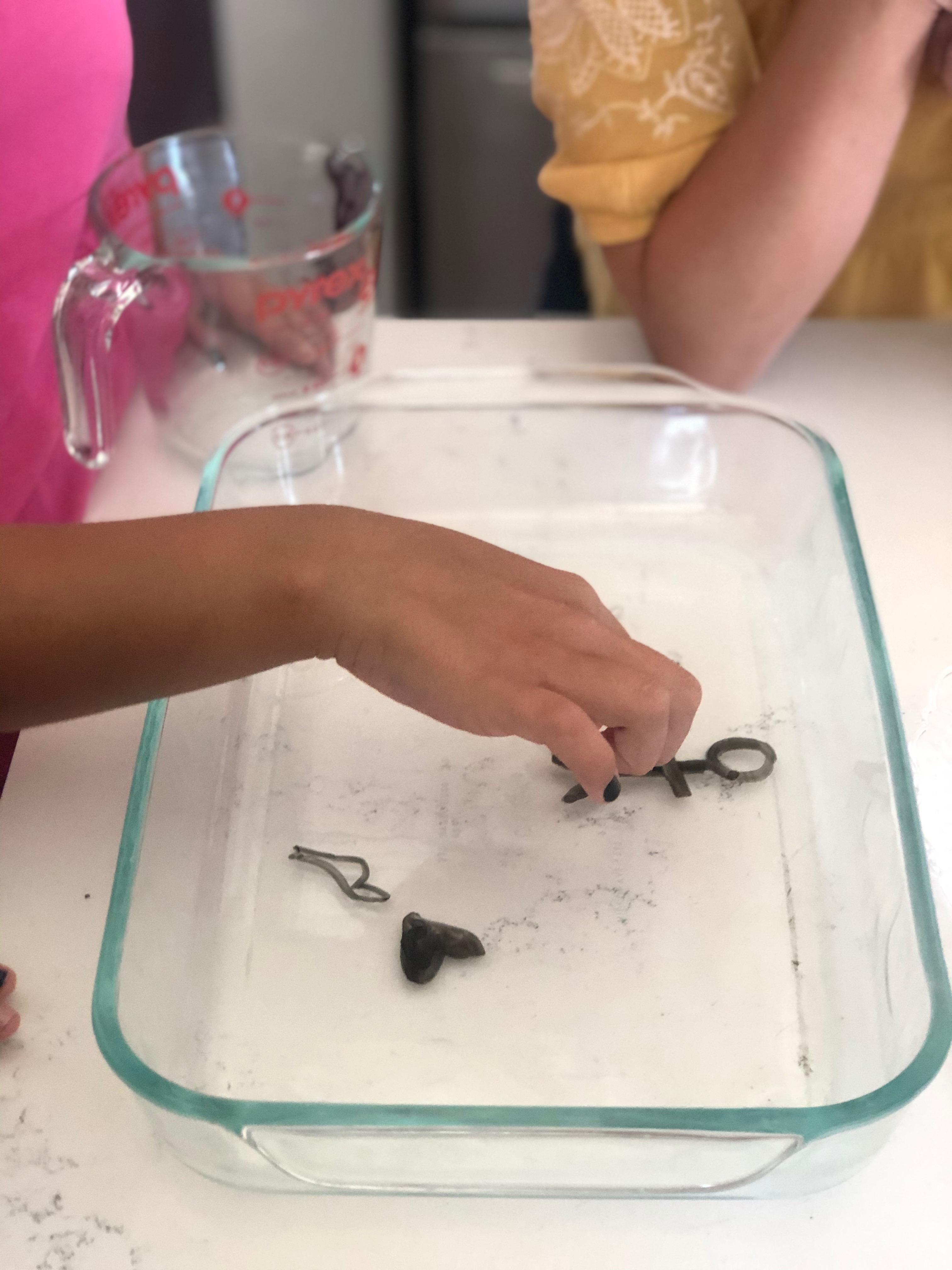 Floating Ink Experiment – Homestead Creations